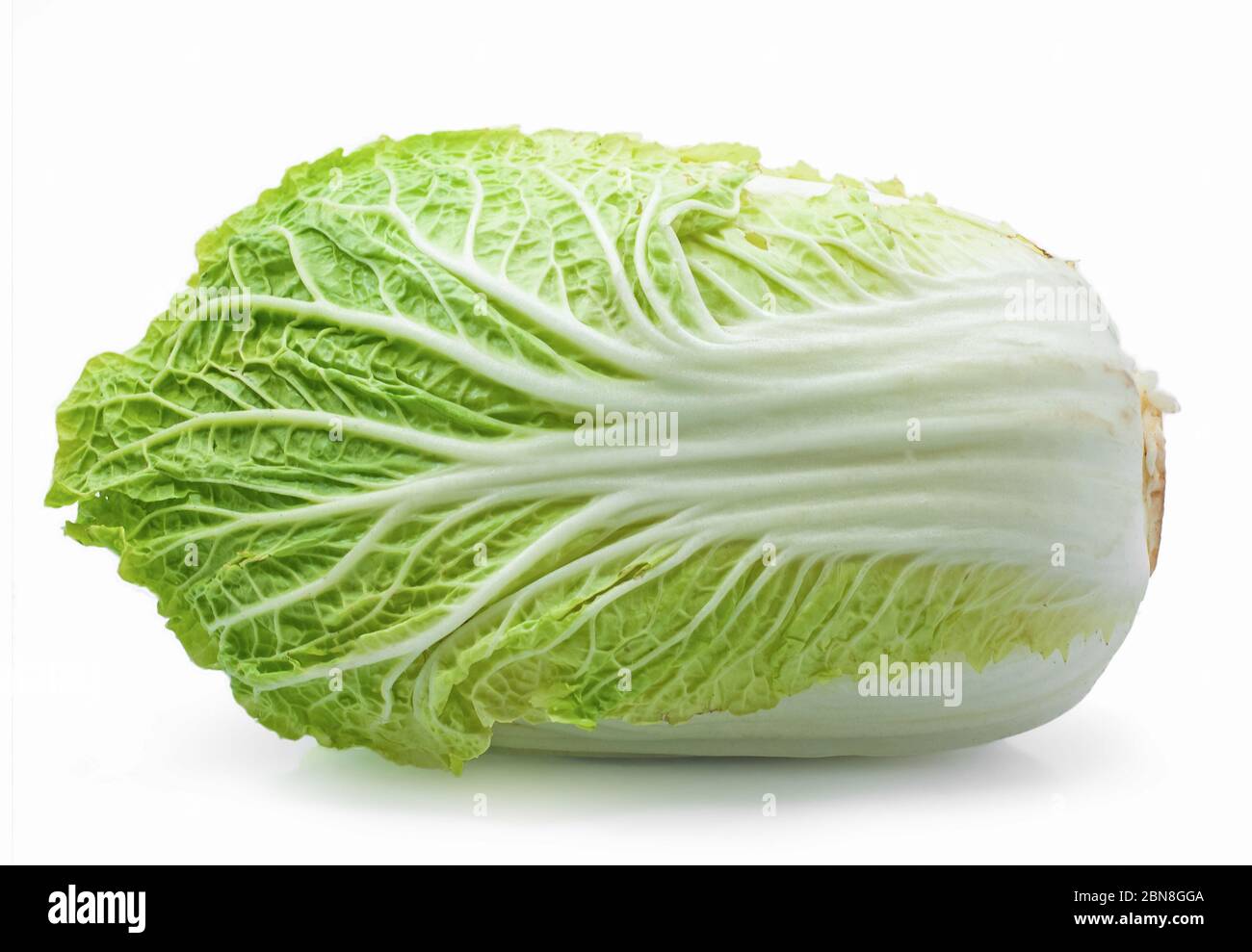 Fresh chinese cabbage isolated on white background Stock Photo - Alamy