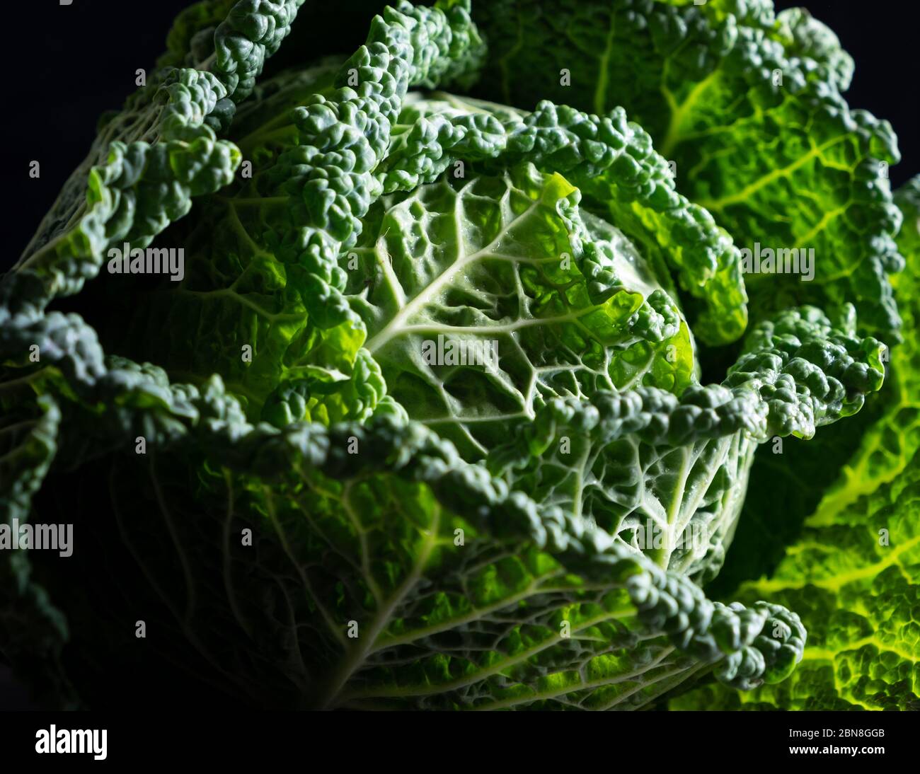 Closeup green cabbages hi-res stock photography and images - Alamy