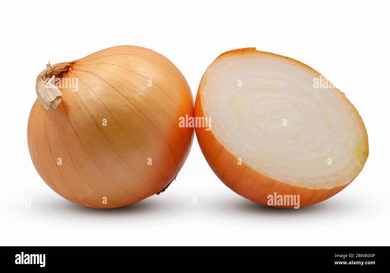 Fresh Yellow onion isolated on white background Stock Photo - Alamy