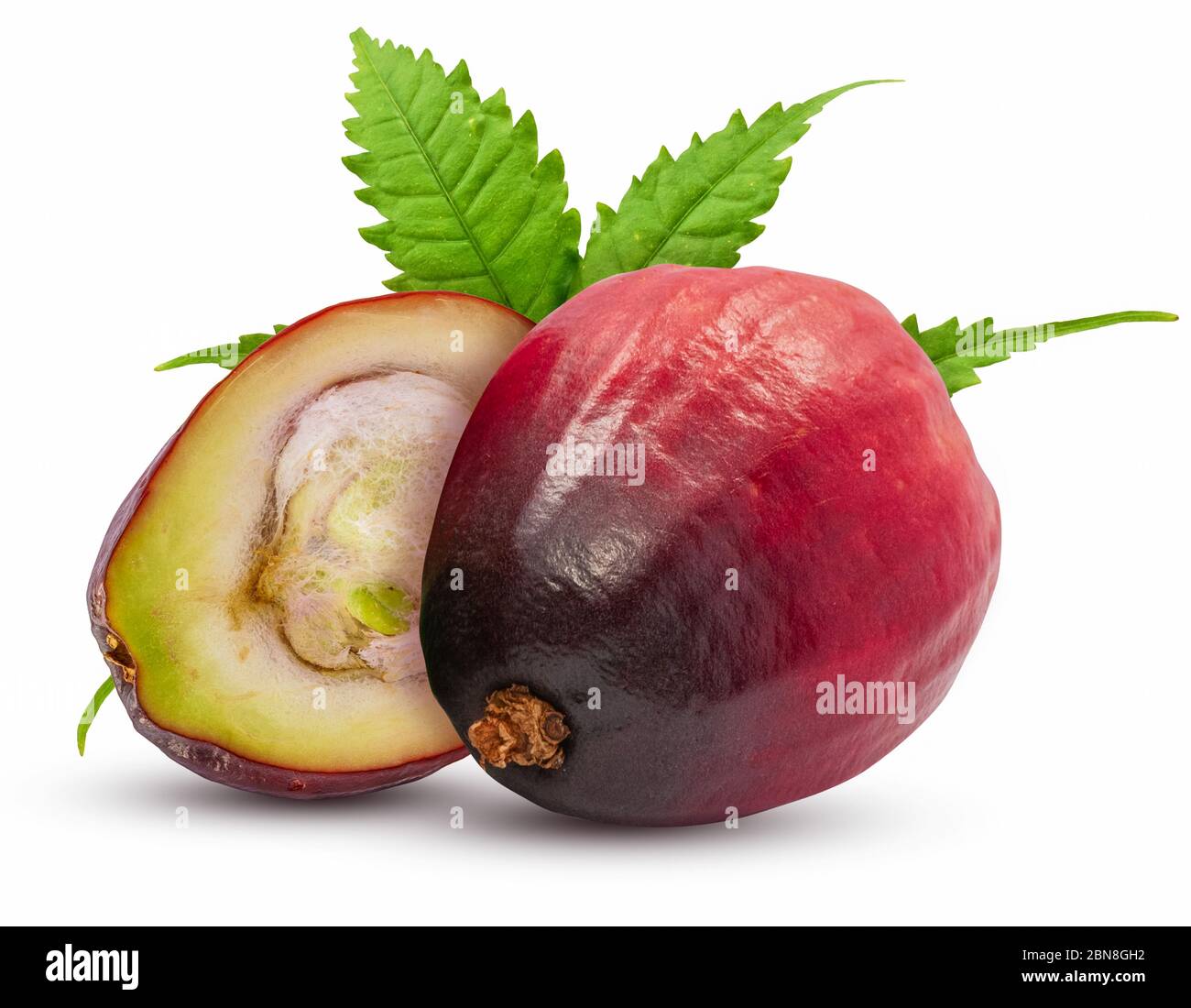Malay apple hi-res stock photography and images - Alamy
