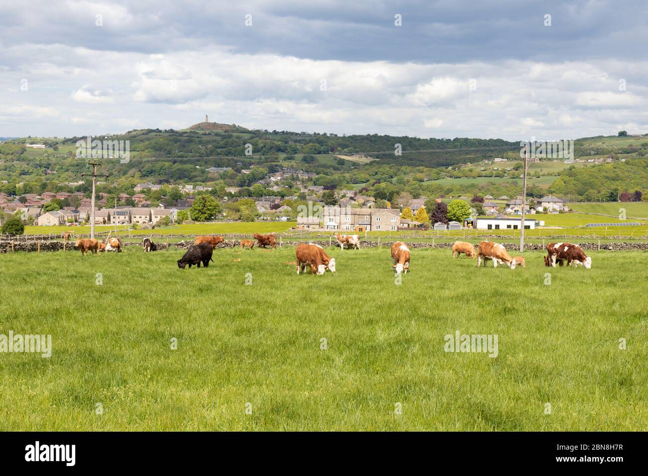 Holme Castle High Resolution Stock Photography and Images - Alamy