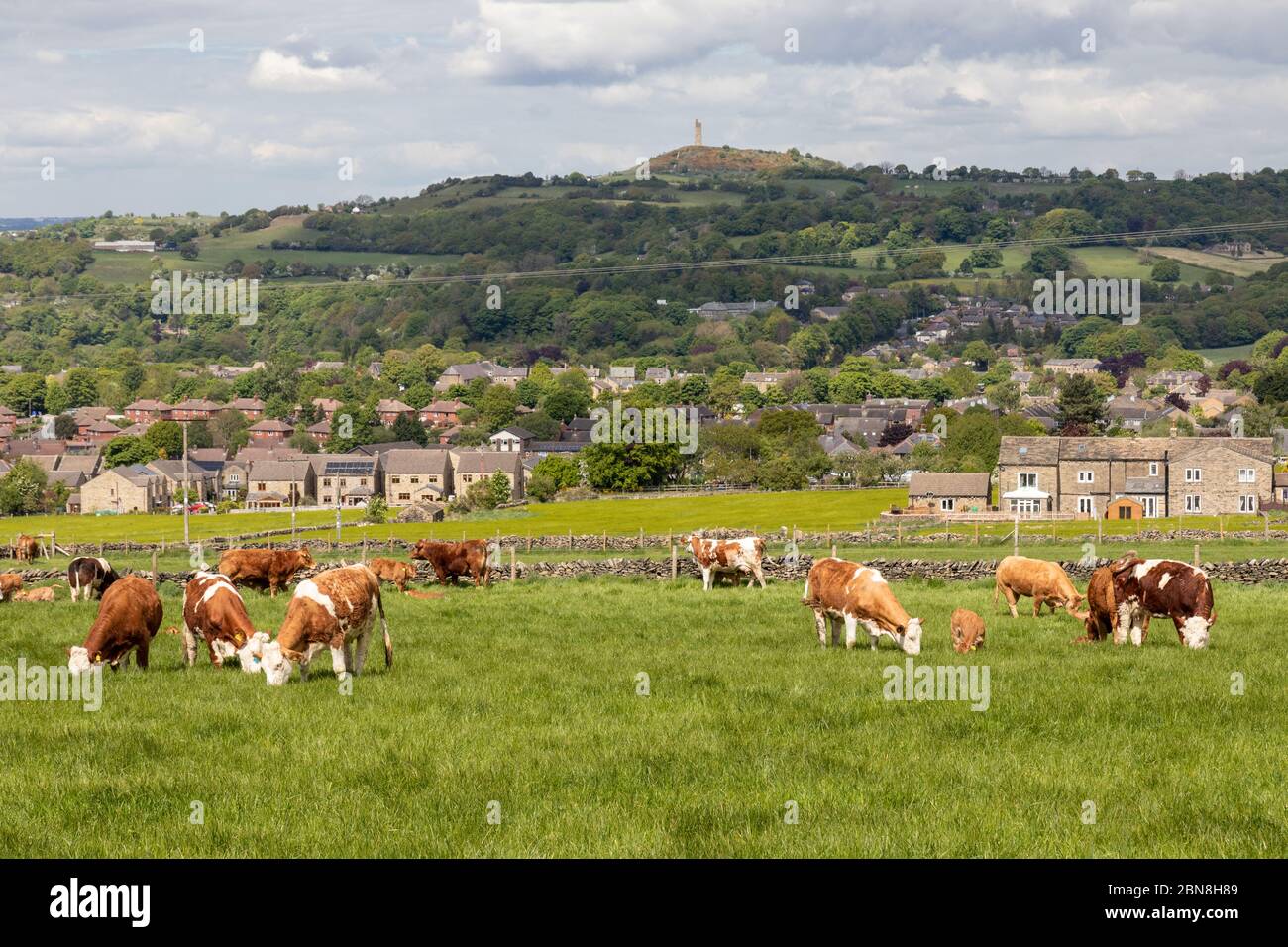 A scene in the Holme Valley, West Yorkshire Stock Photo - Alamy