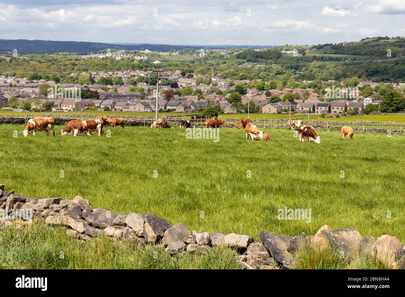 A scene in the Holme Valley, West Yorkshire Stock Photo - Alamy