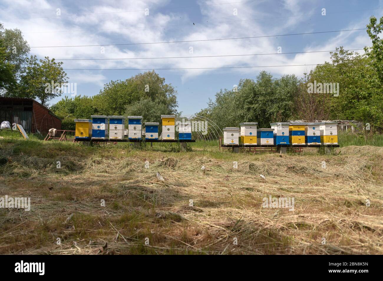 Row of bee hives on a field Stock Photo - Alamy