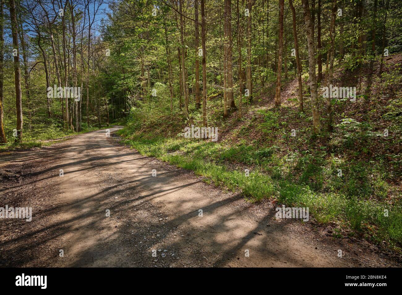 National forest service road hi-res stock photography and images - Alamy