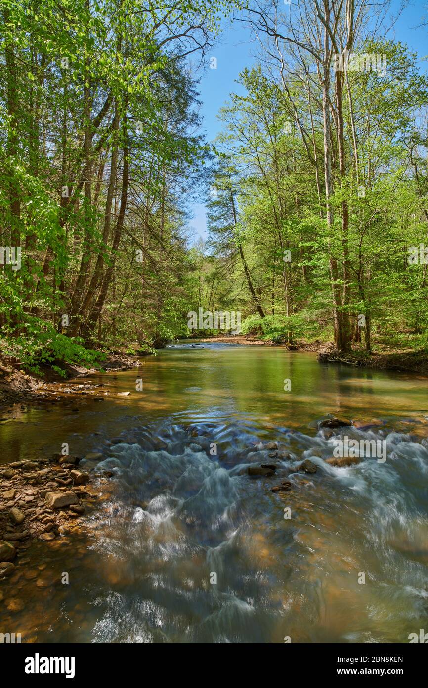 Small Rapids on War Creek in Eastern Kentucky Stock Photo - Alamy
