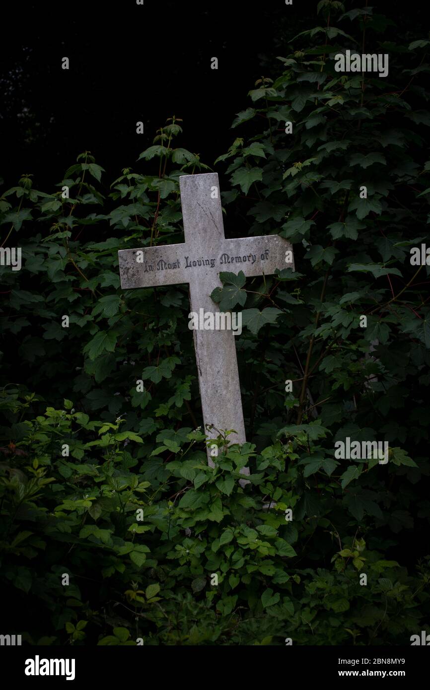 Lambeth Cemetery High Resolution Stock Photography and Images - Alamy