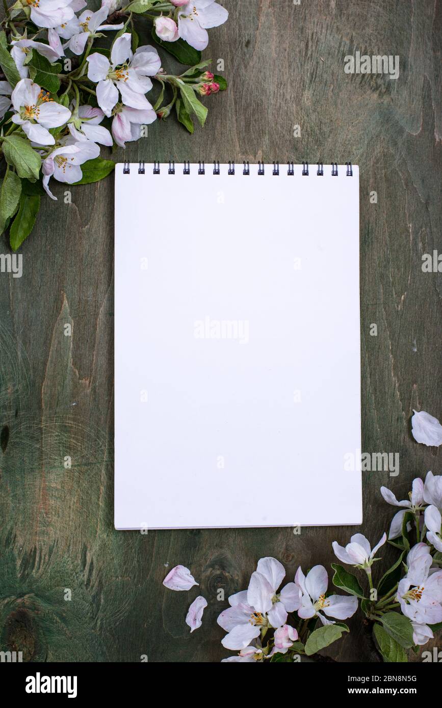 Blooming apple tree. Spring background Stock Photo - Alamy