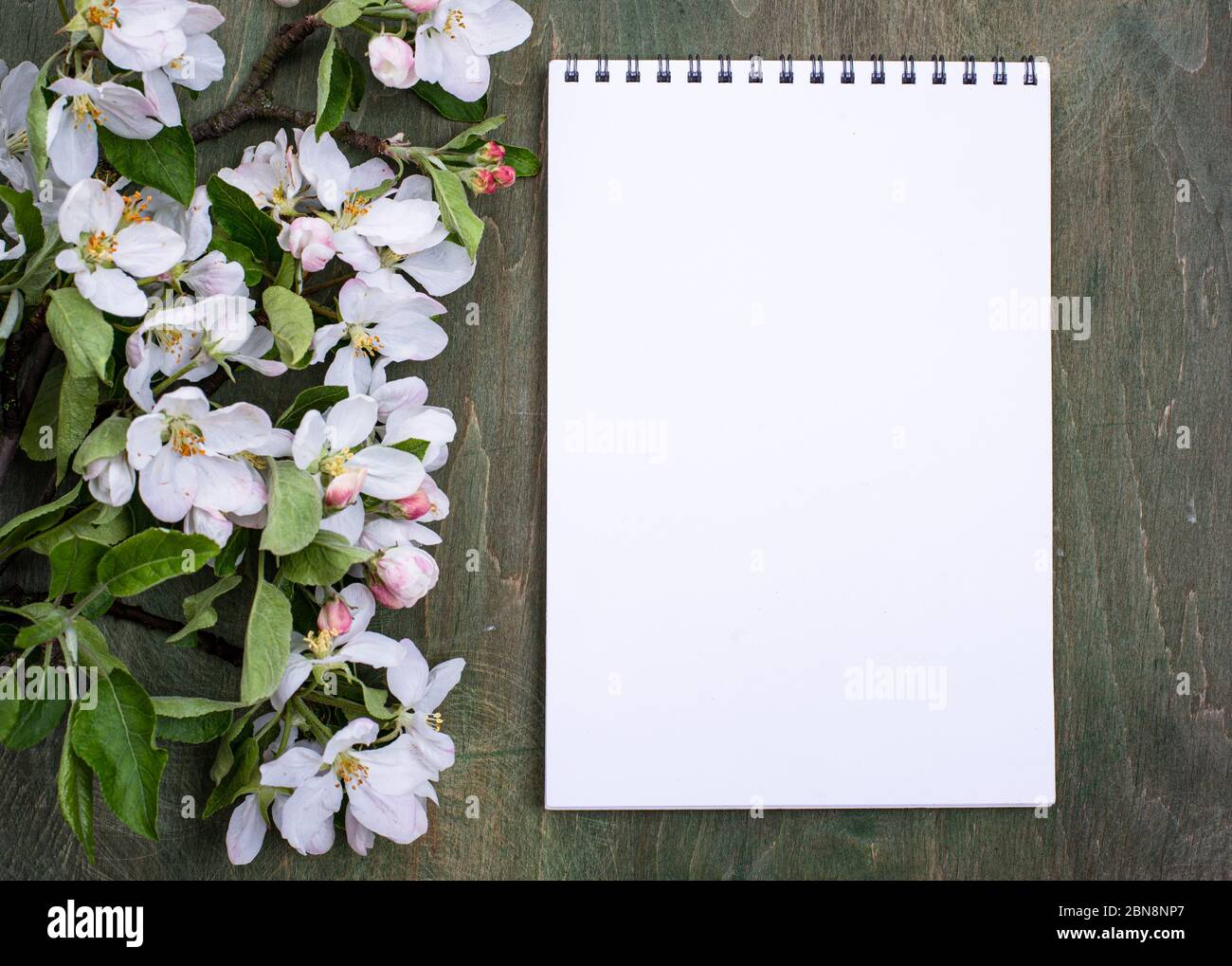 Blooming apple tree. Spring background Stock Photo - Alamy