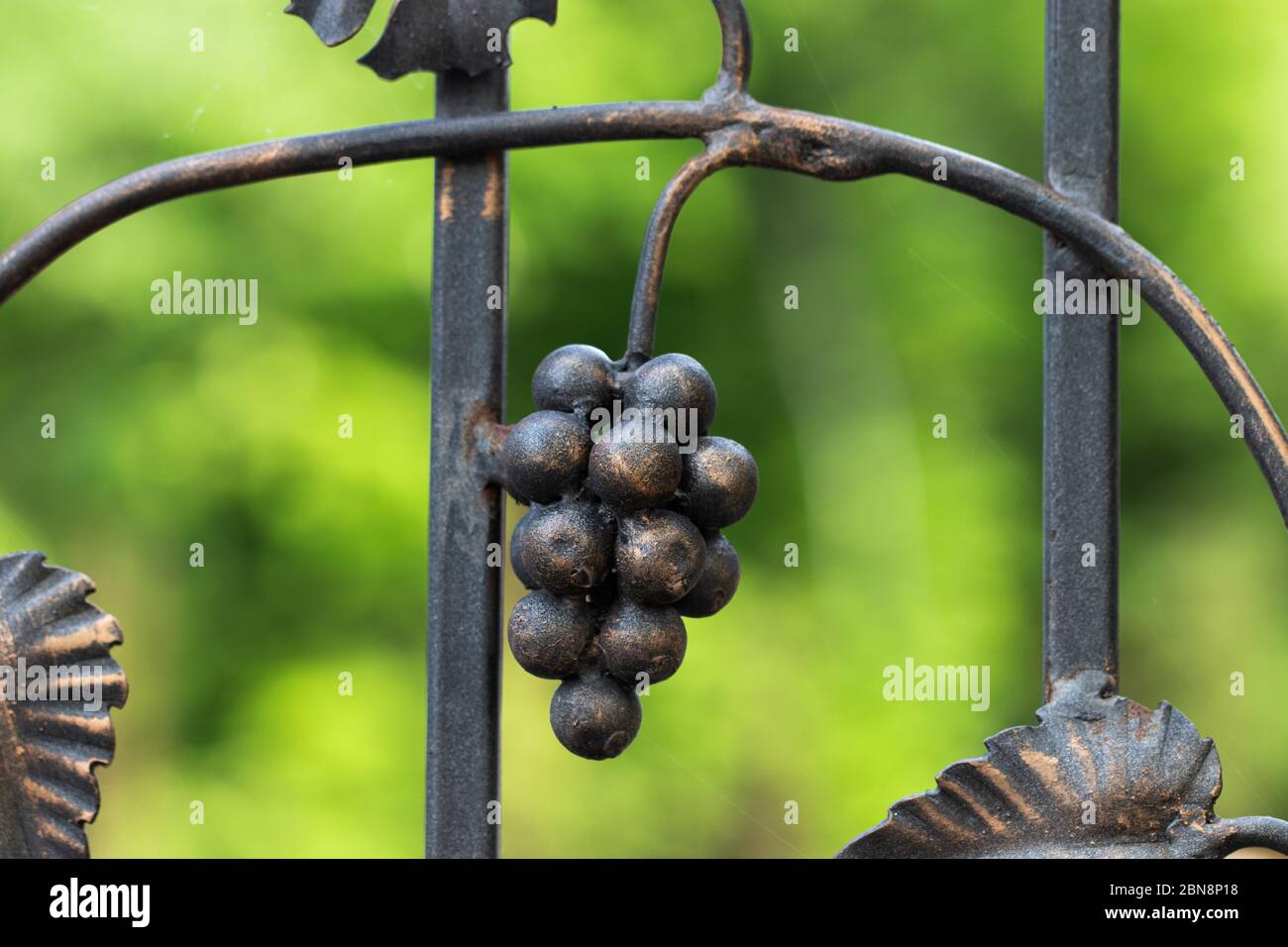 Forged bunch of grapes. Ornate wrought-iron elements of metal gate ...
