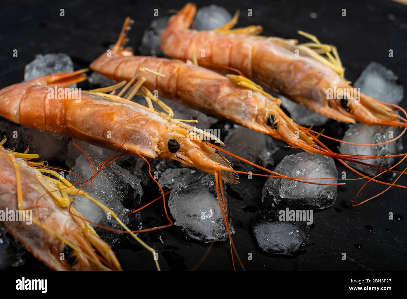 four pieces of shrimp on ice chunks on a black background Stock Photo ...
