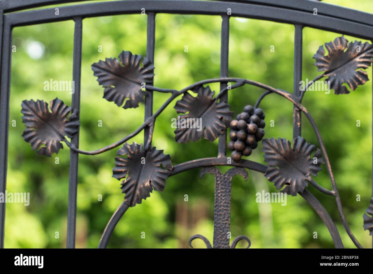 Forged bunch of grapes. Ornate wrought-iron elements of metal gate ...