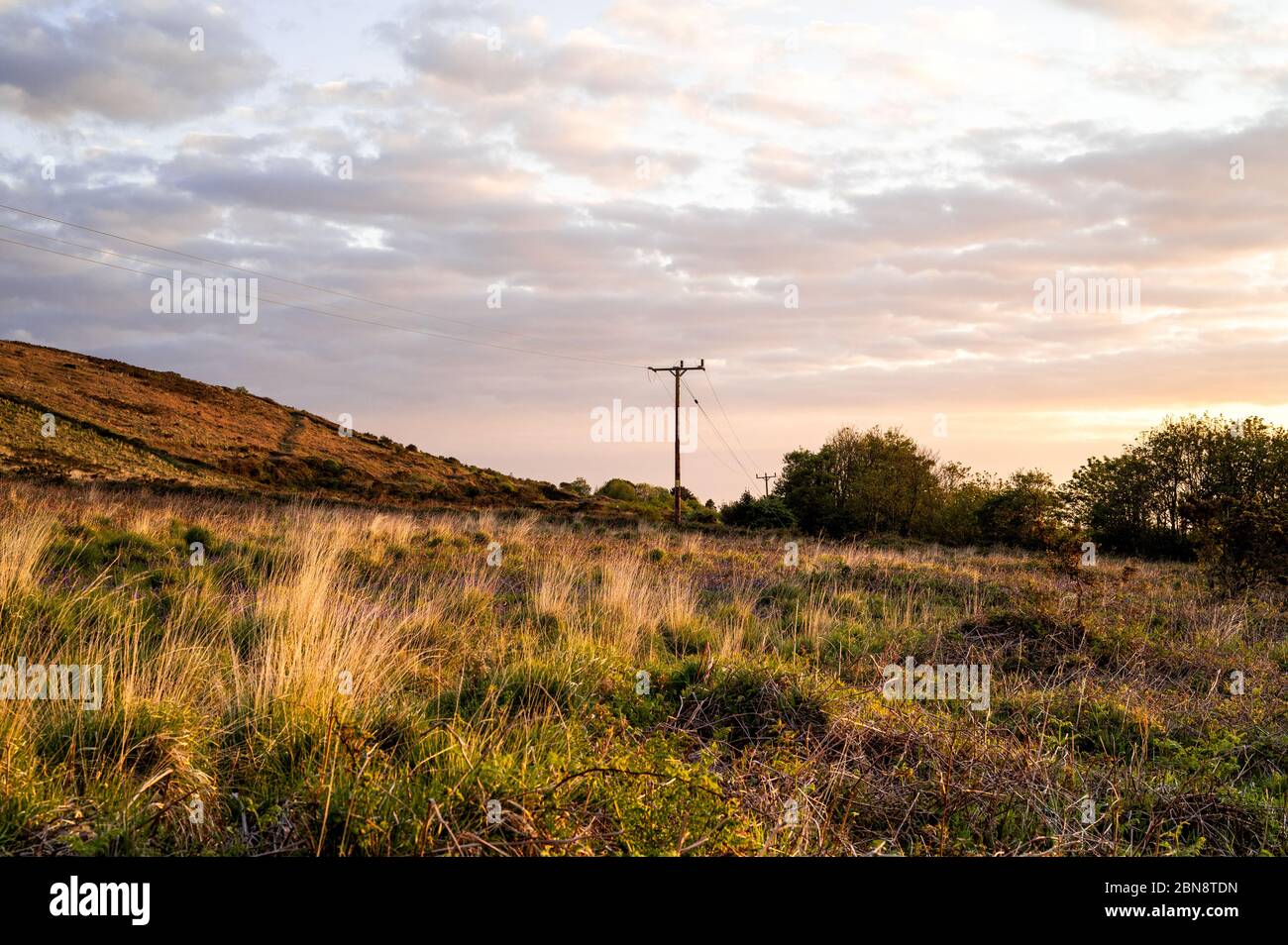 Carn beam hi-res stock photography and images - Alamy