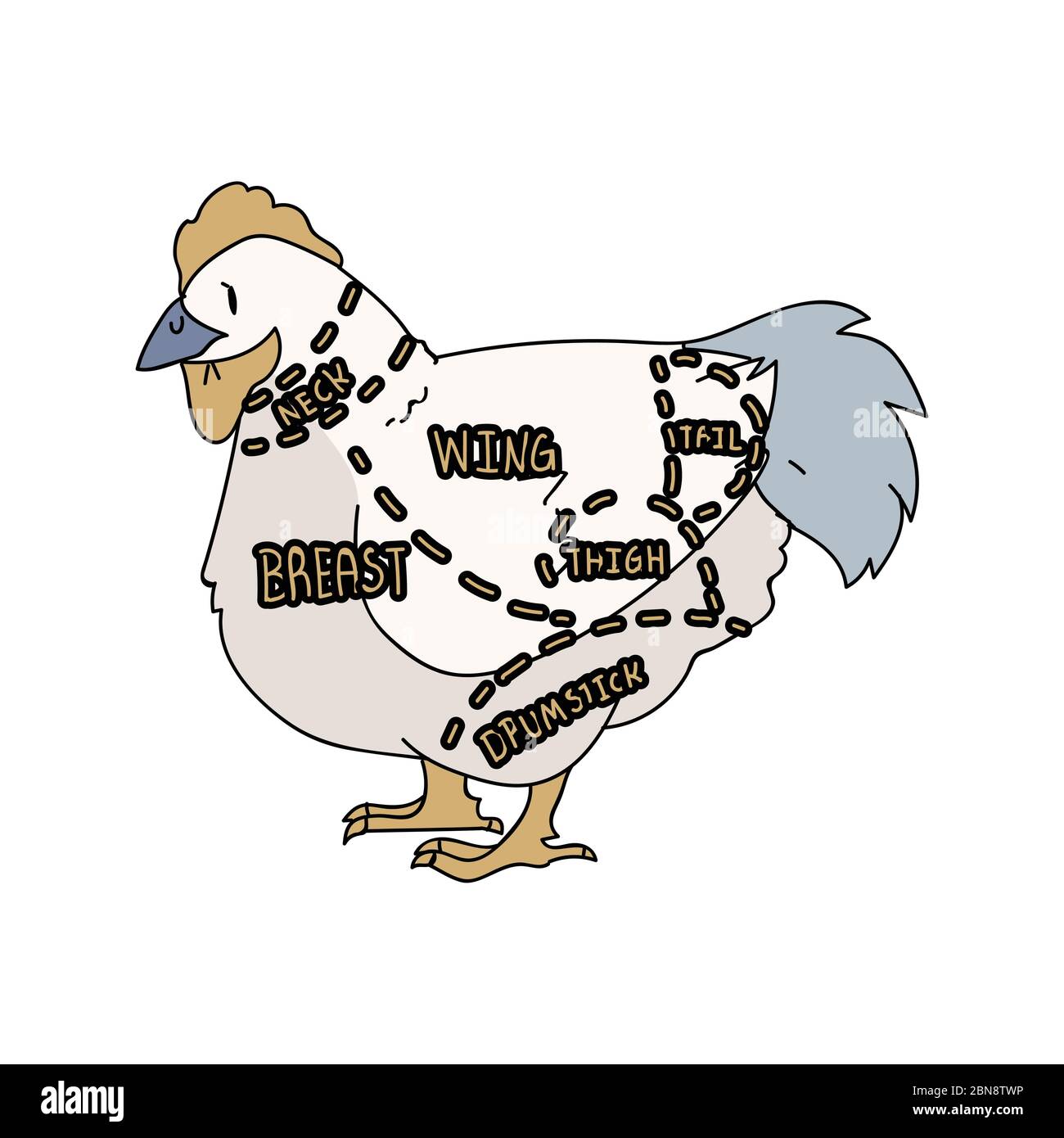 Cute french farmhouse hen butcher chart vector clipart. Hand drawn ...