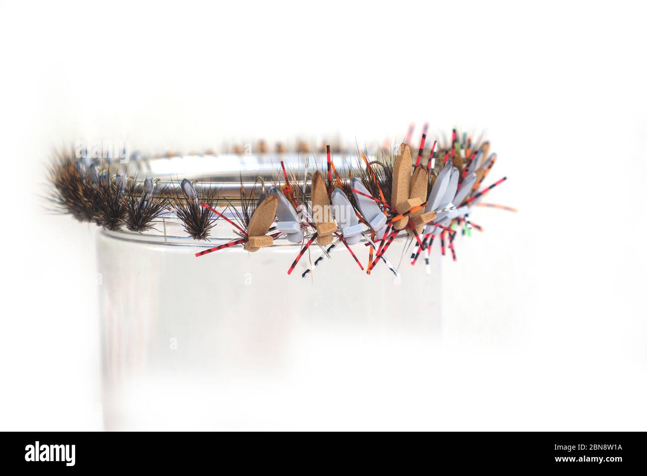 Dry flies for fishing on a white background Stock Photo - Alamy