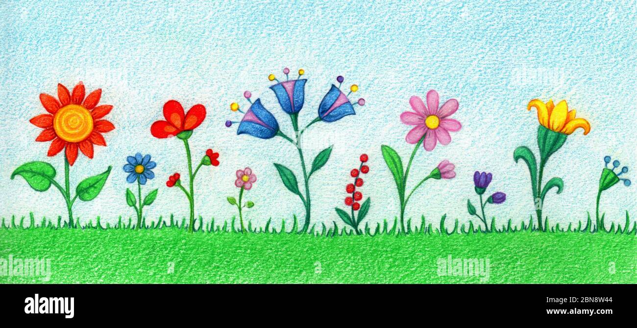 Hand drawn illustration of meadow full of flowers Stock Photo - Alamy