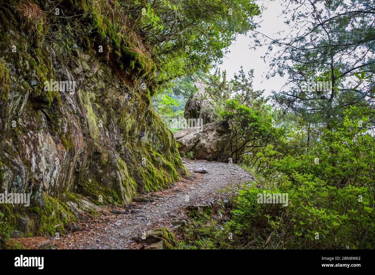 Mt.Jade Mountain/Yushan Landscape - The Highest Mountain on Taiwan ...
