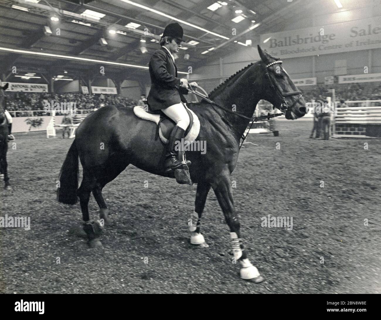 Paul darragh hi-res stock photography and images - Alamy