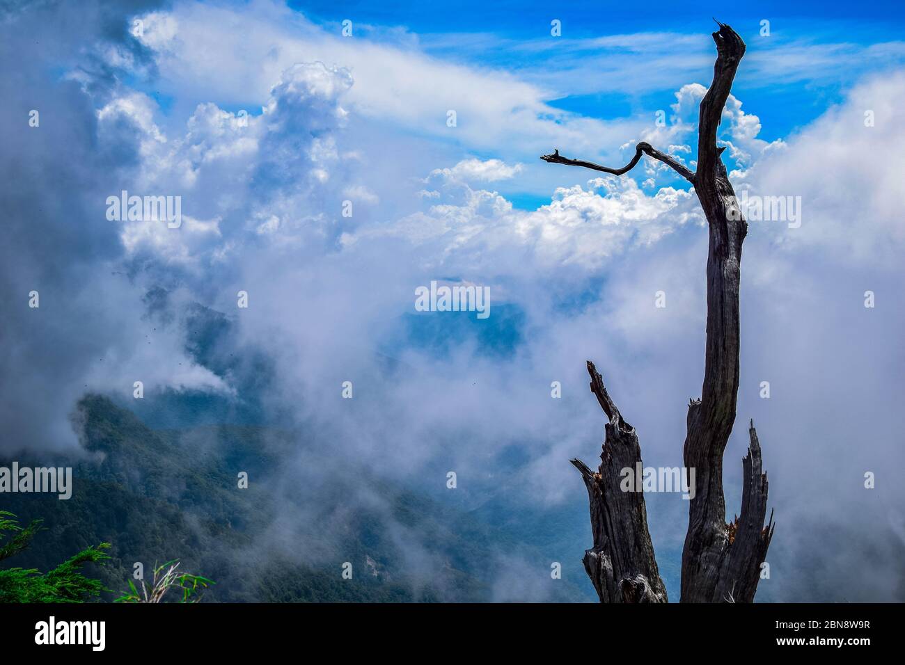 Mt.Jade Mountain/Yushan Landscape - The Highest Mountain on Taiwan ...