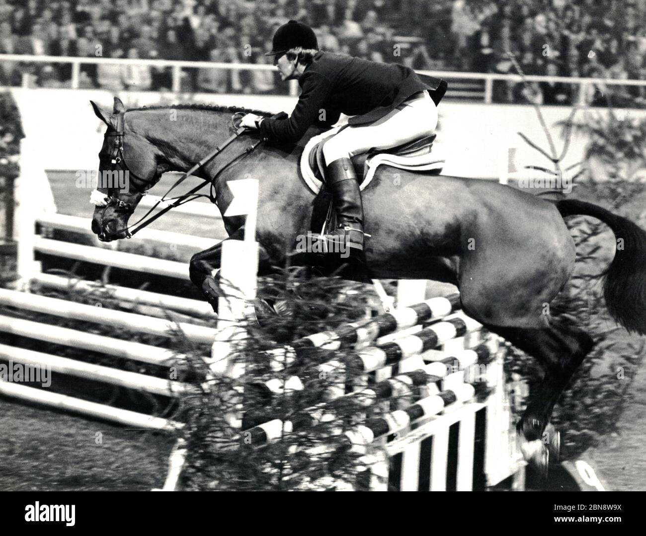 Eddie Macken riding Carrolls Boomerang, Dublin Indoor Show, Ireland ...
