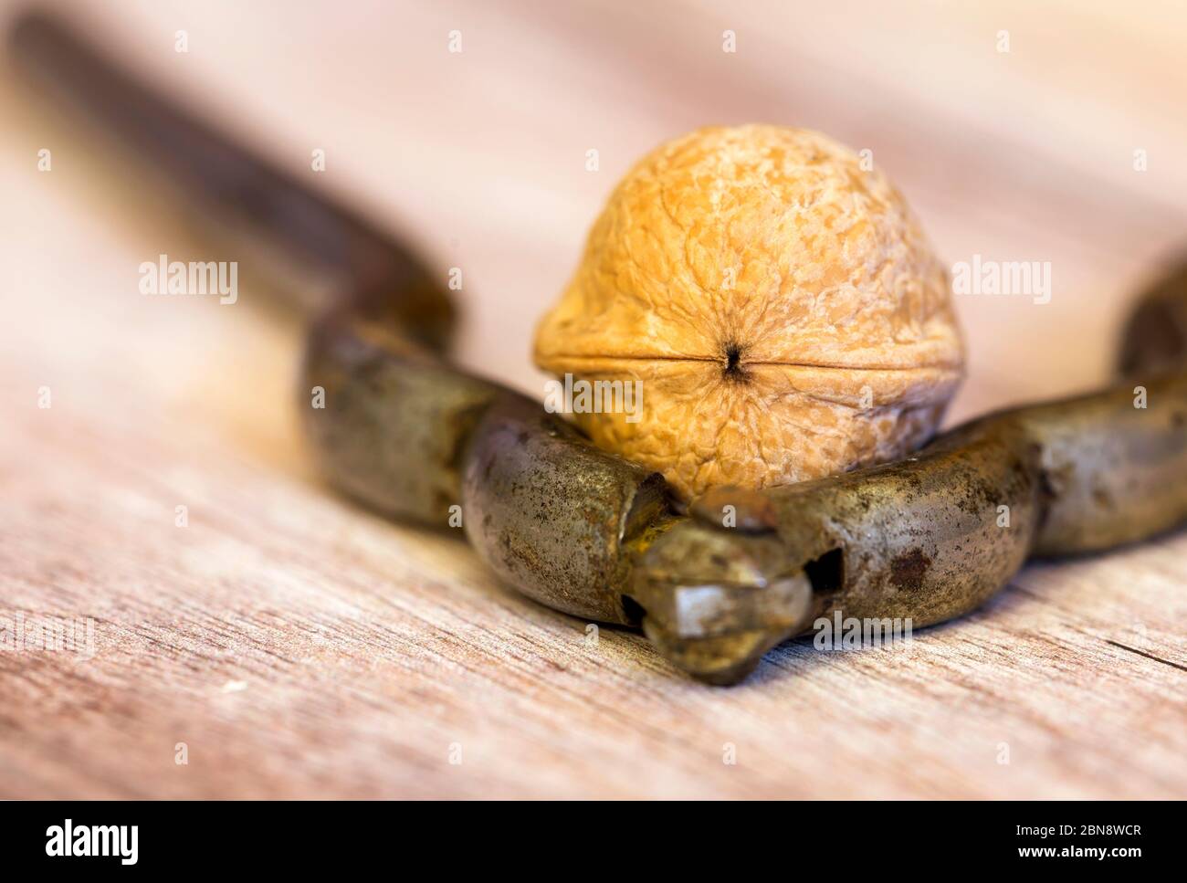 Nut with an old nutcracker Stock Photo - Alamy