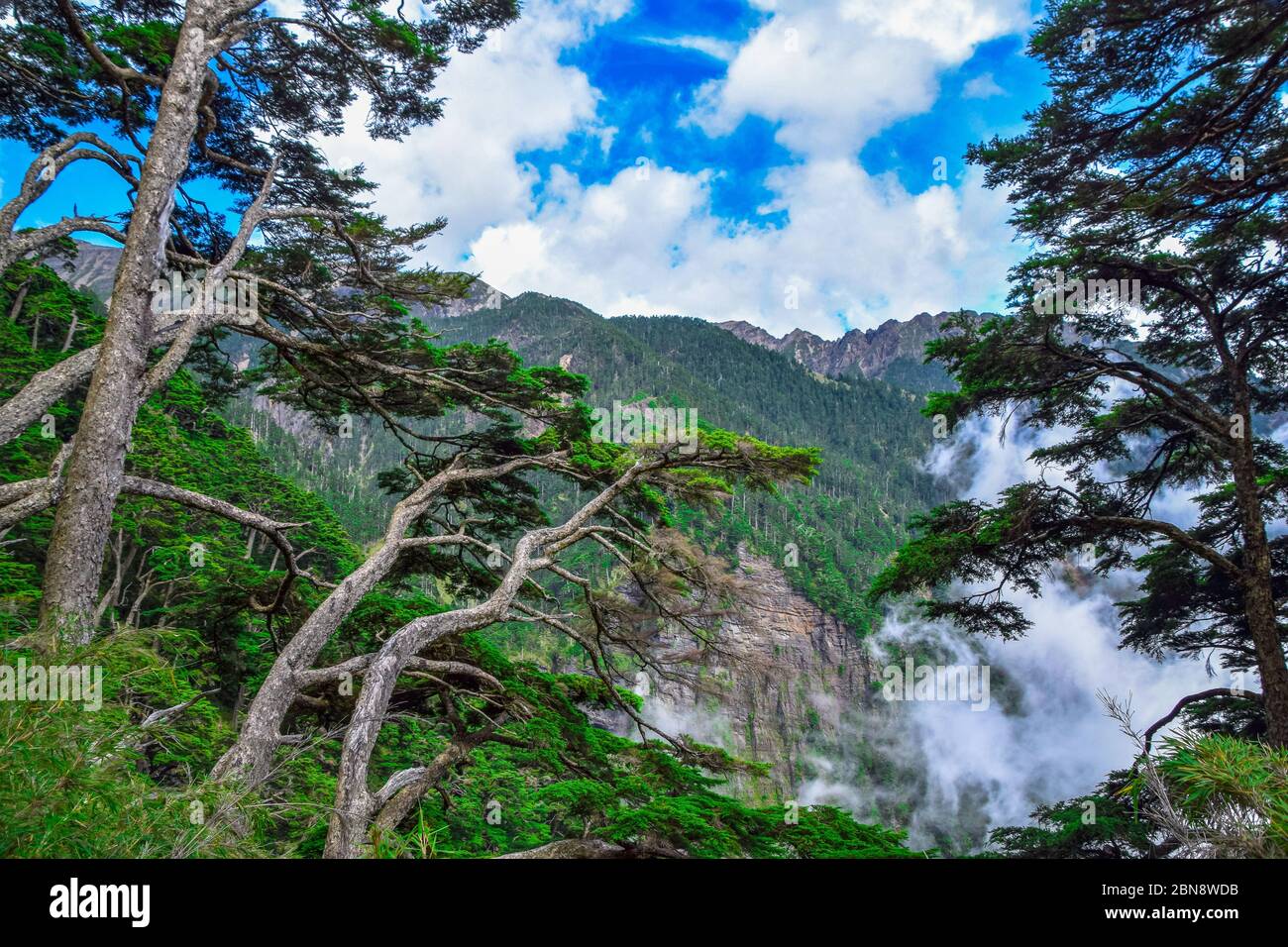 Mt.Jade Mountain/Yushan Landscape - The Highest Mountain on Taiwan ...