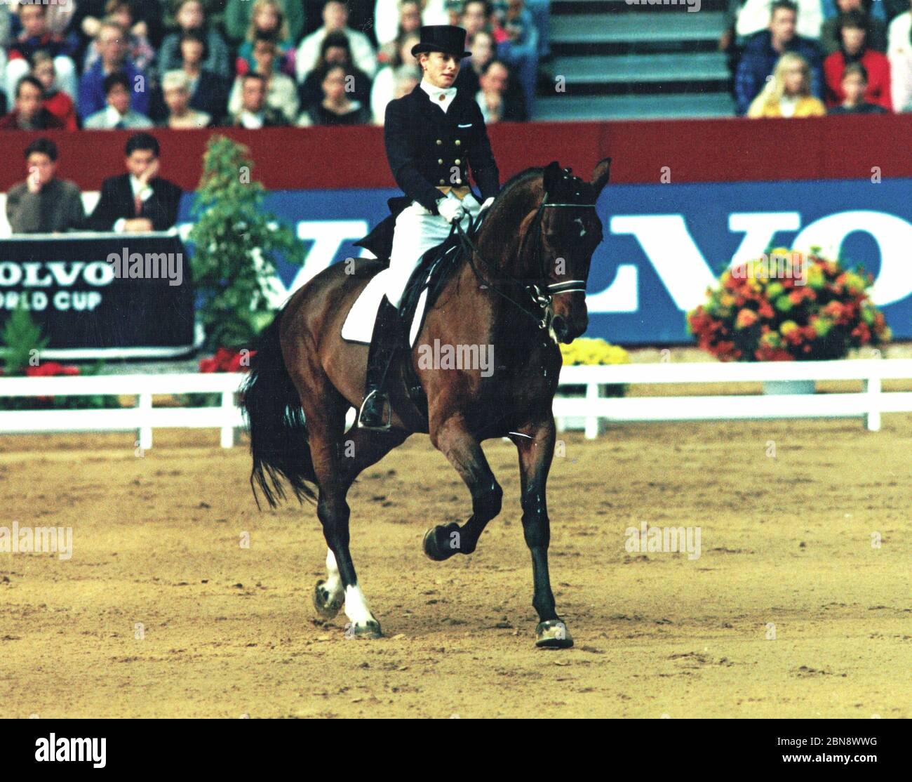 Biffer hi-res stock photography and images - Alamy