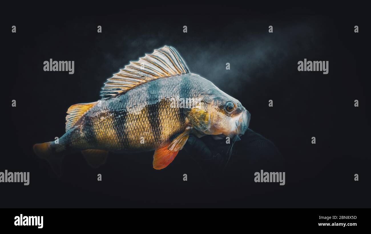 Bass fishing pond hi-res stock photography and images - Alamy