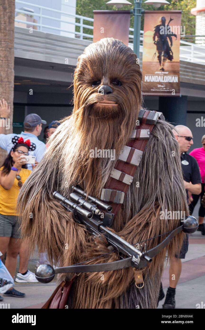 World of avatar theme park hi-res stock photography and images - Alamy