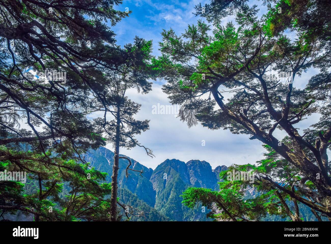 Mt.Jade Mountain/Yushan Landscape - The Highest Mountain on Taiwan ...