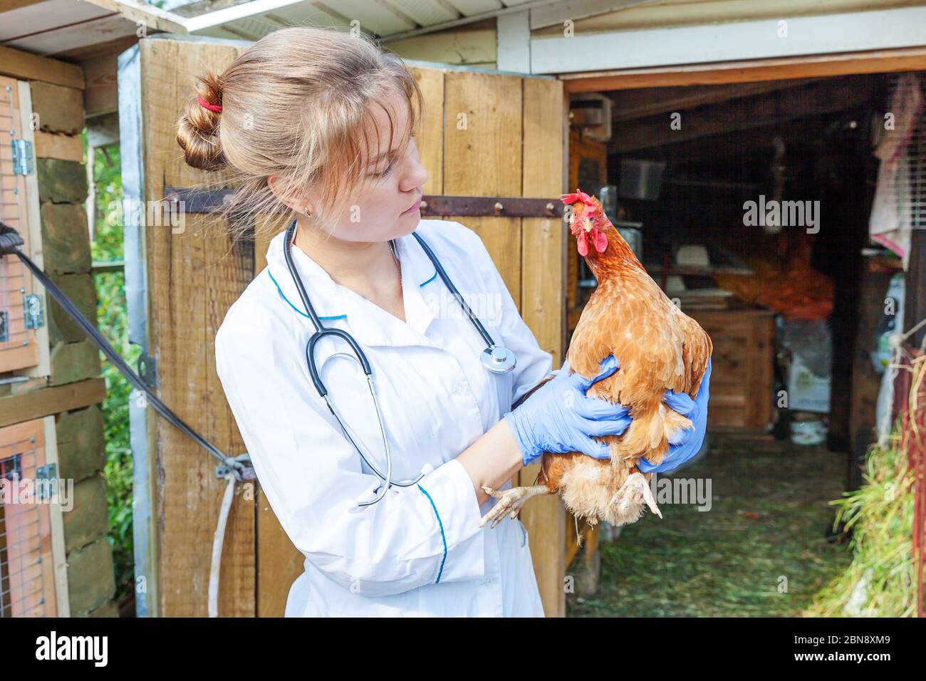 Happy young veterinarian woman with stethoscope holding and examining ...