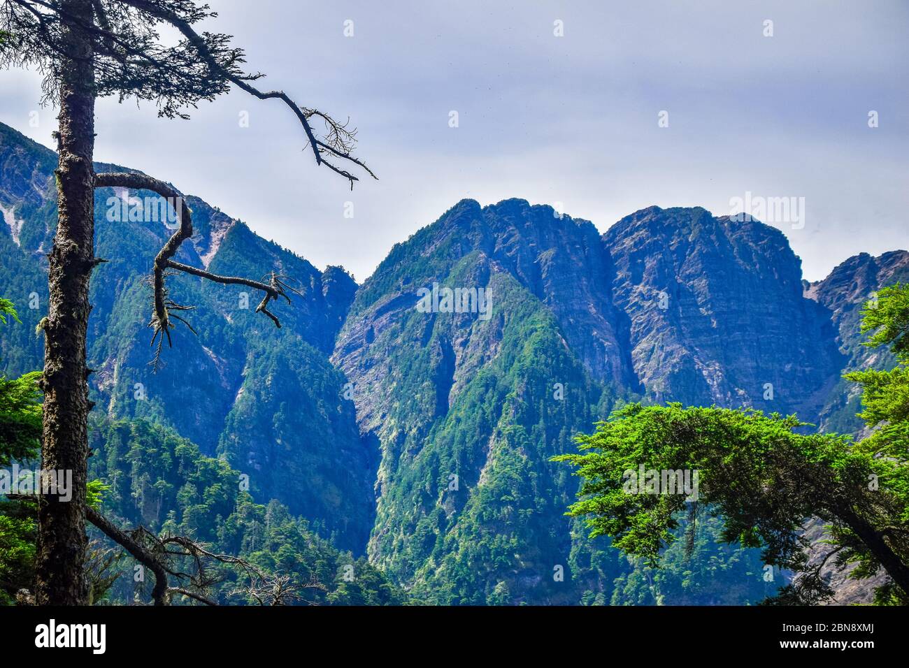 Mt.Jade Mountain/Yushan Landscape - The Highest Mountain on Taiwan ...