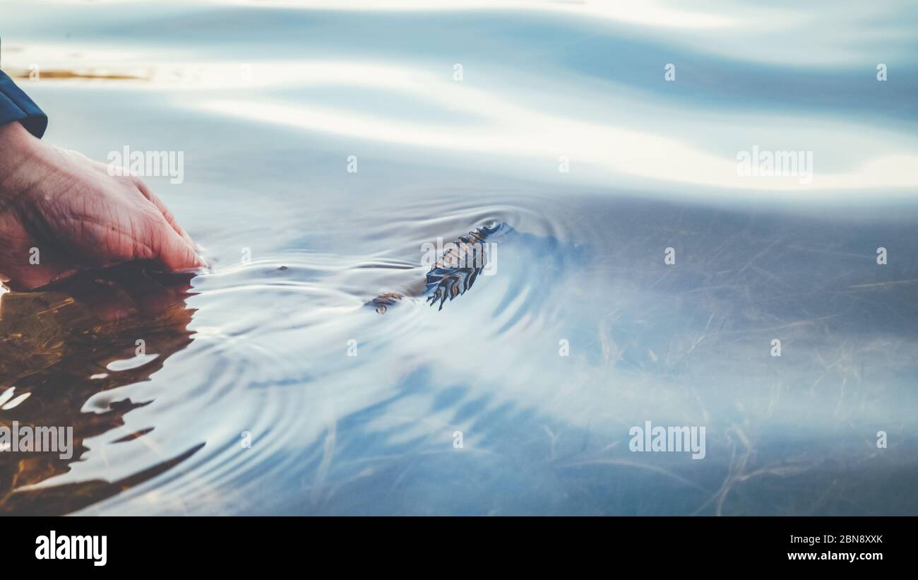 Perch to hand hi-res stock photography and images - Alamy