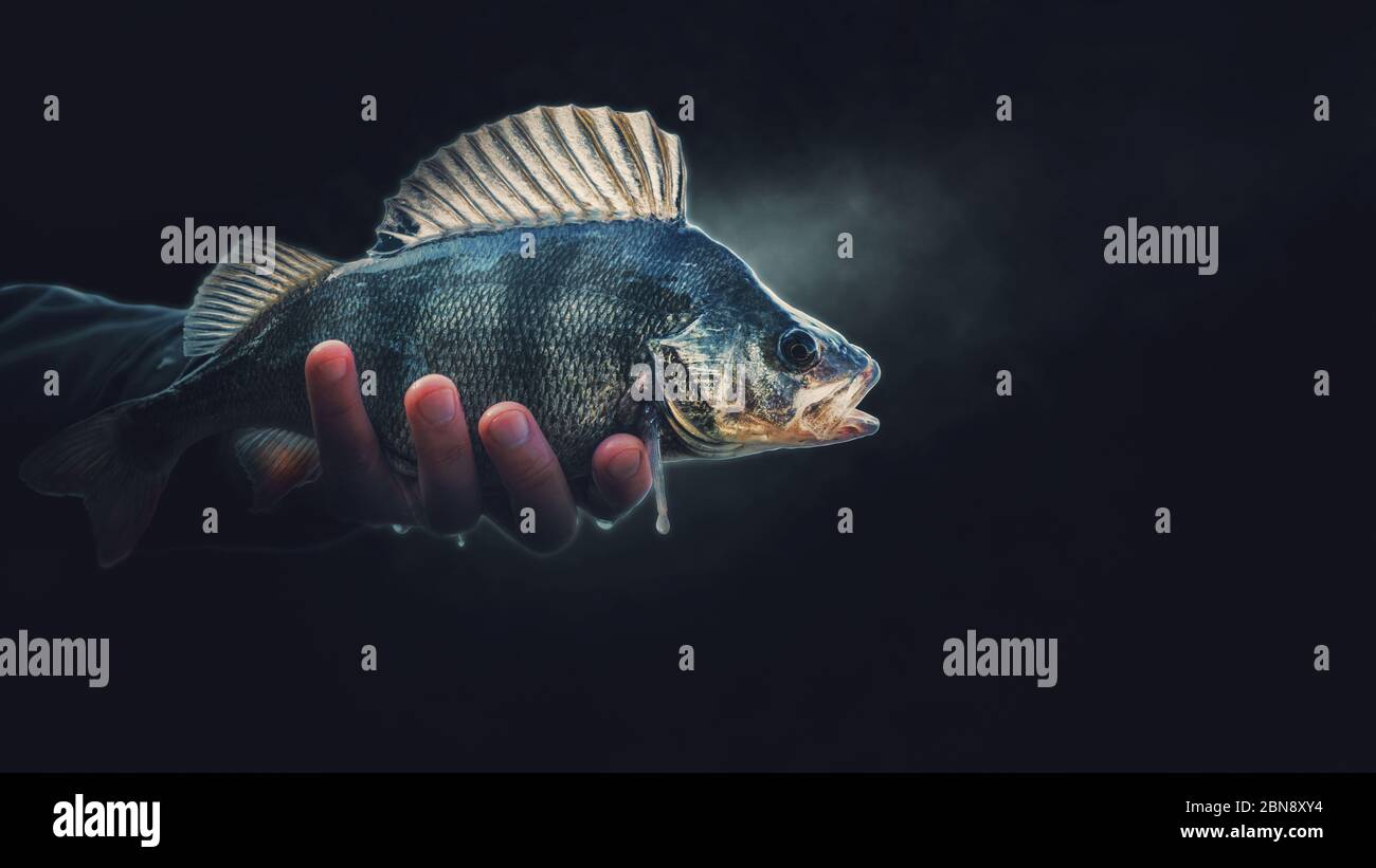 Grilled Striped Bass Skeleton