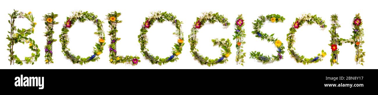 Flower And Blossom Letter Building Word Biologisch Means Organic Stock Photo - Alamy