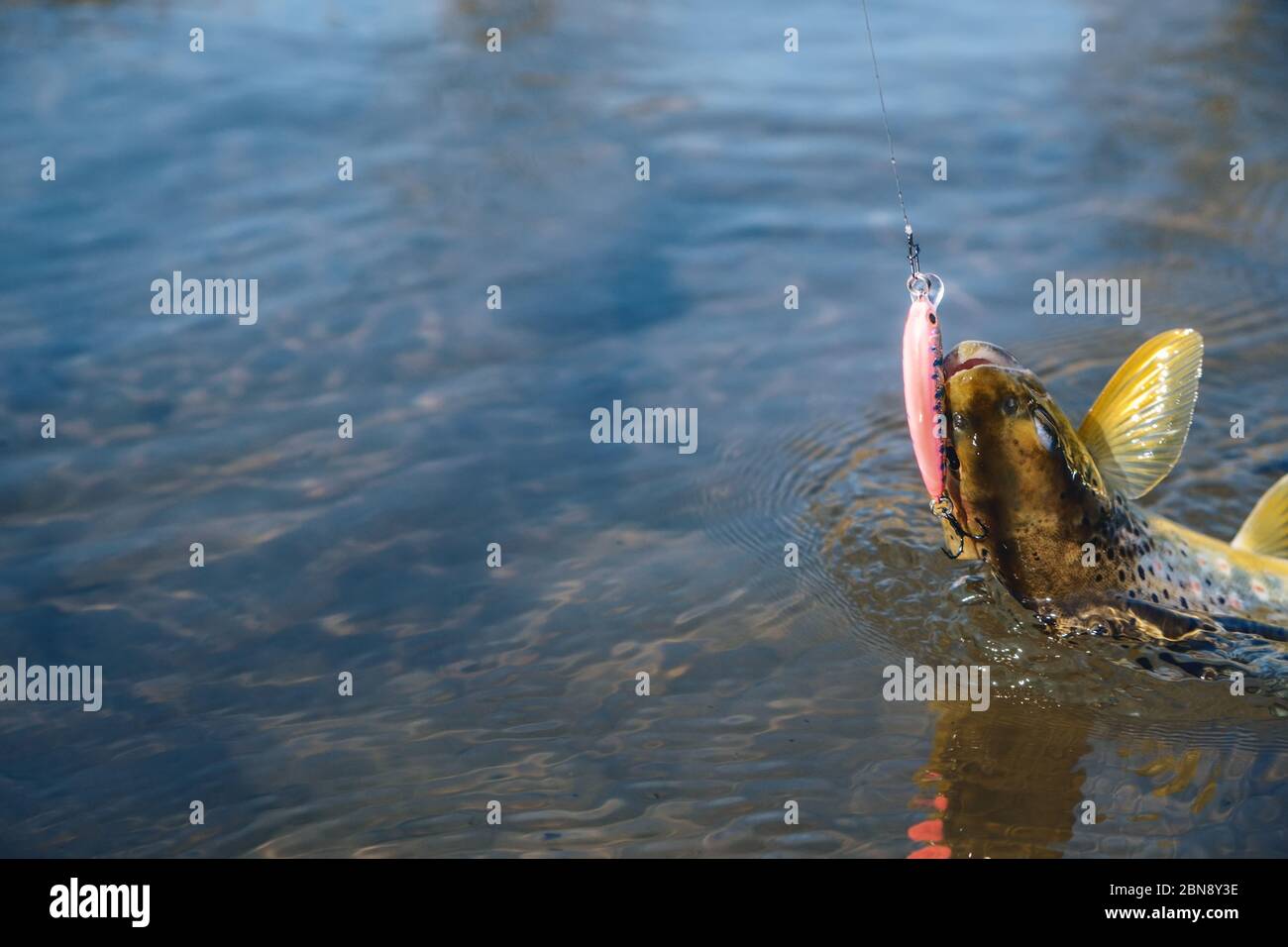 Artificial bait hi-res stock photography and images - Alamy