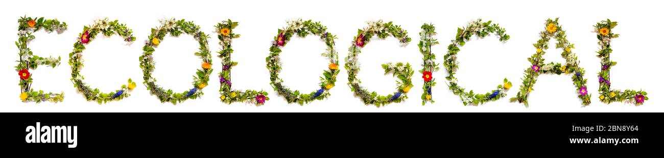 Flower And Blossom Letter Building Word Ecological Stock Photo - Alamy