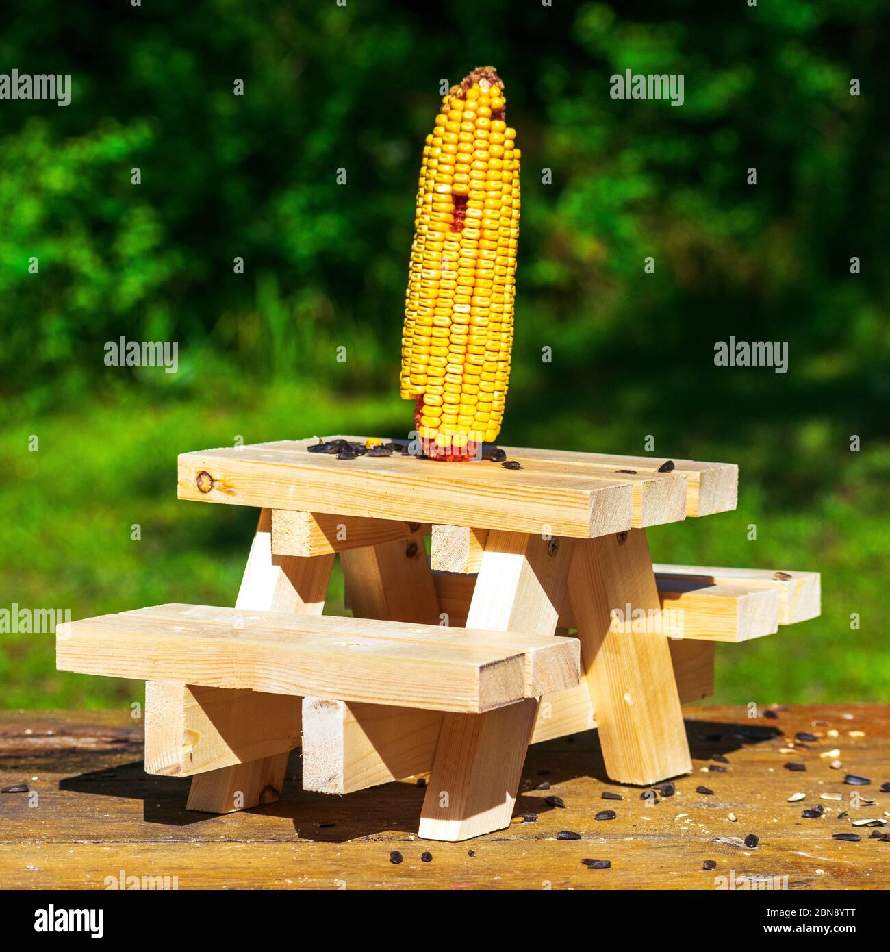 Picnic Table Feeder For Wildlife Stock Photo - Alamy