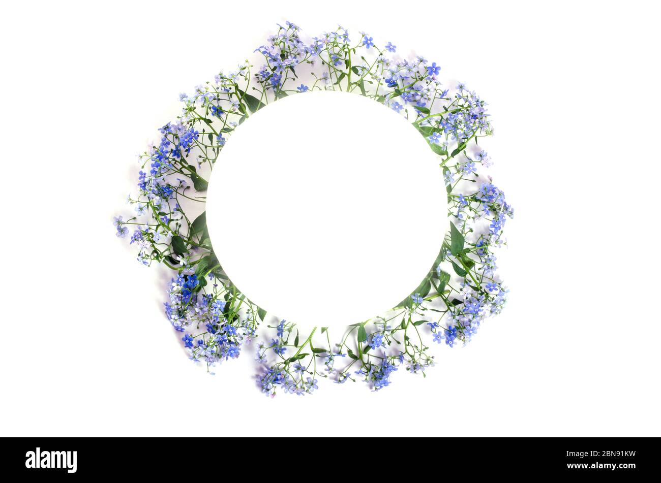 Postcard background with copy space for text, cosmetics. Forget-me-not ...
