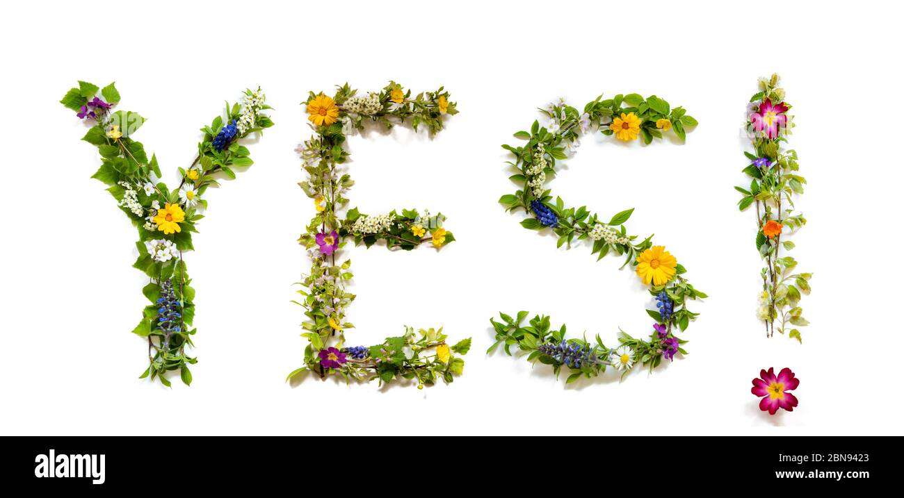 Flower And Blossom Letter Building Word Yes Stock Photo - Alamy