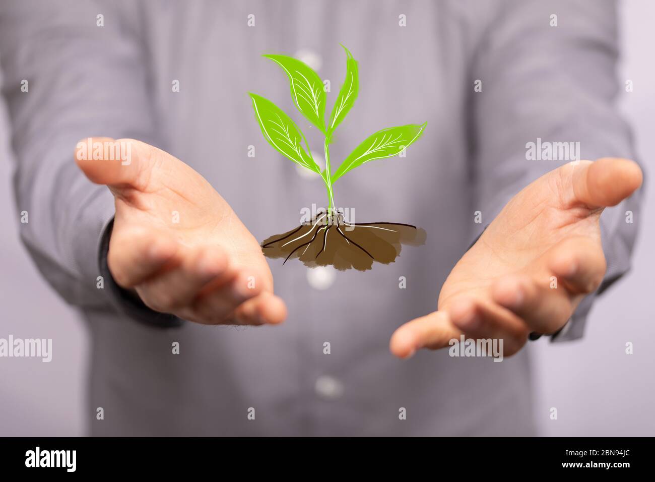 A green plant growing up digital Stock Photo - Alamy