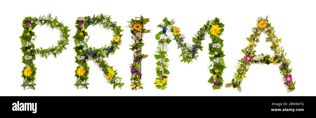 Flower And Blossom Letter Building Word Prima Means Super Stock Photo - Alamy
