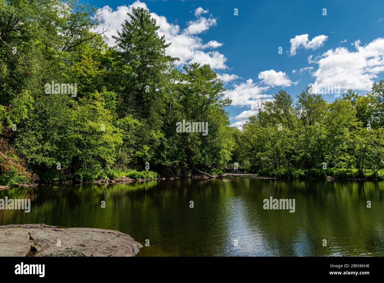 Little lake with forest Stock Photo - Alamy