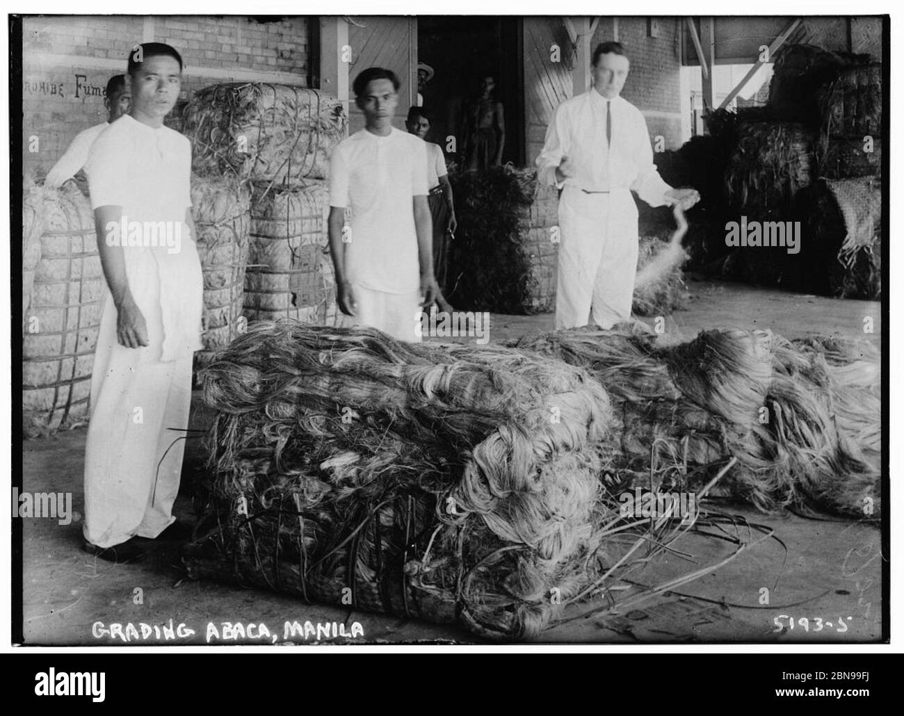 Abaca manila hi-res stock photography and images - Alamy