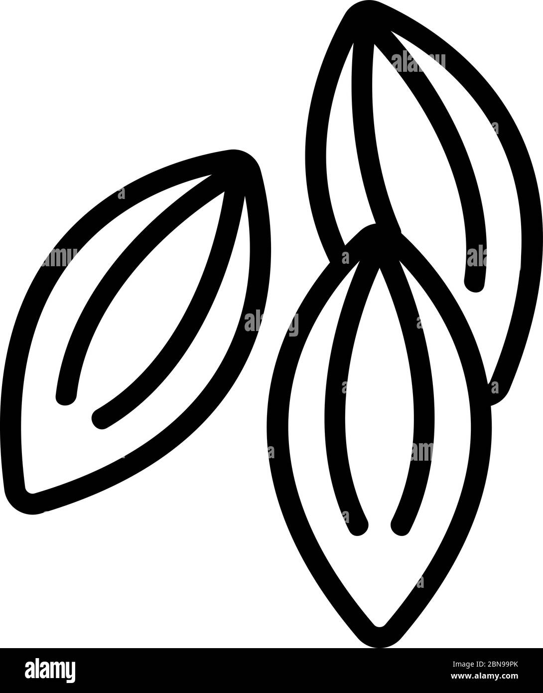 dill seeds icon vector outline illustration Stock Vector Image & Art ...