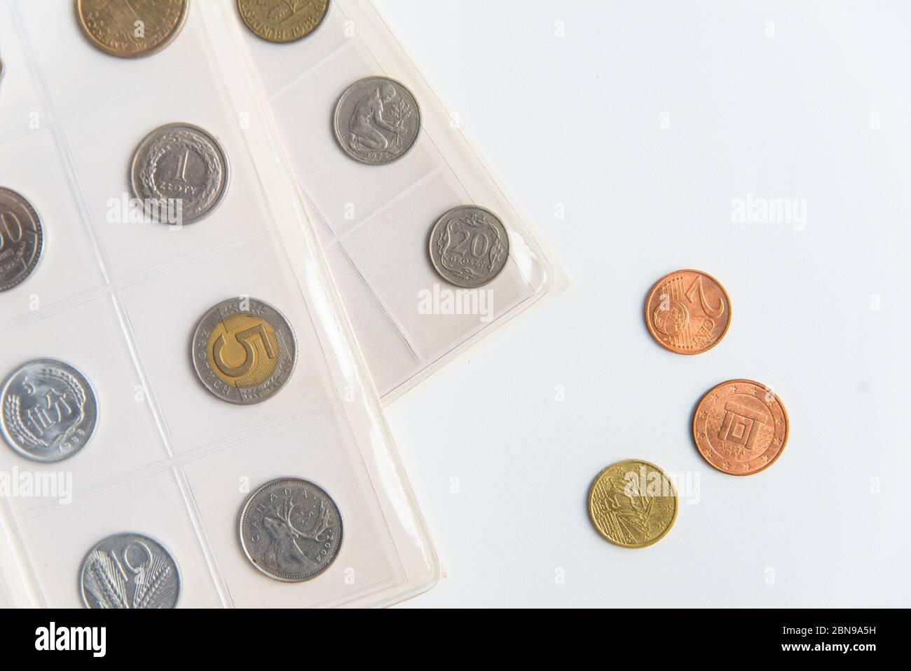 Flat lay of the numismatic album sheets and coins. Collection of rare ...