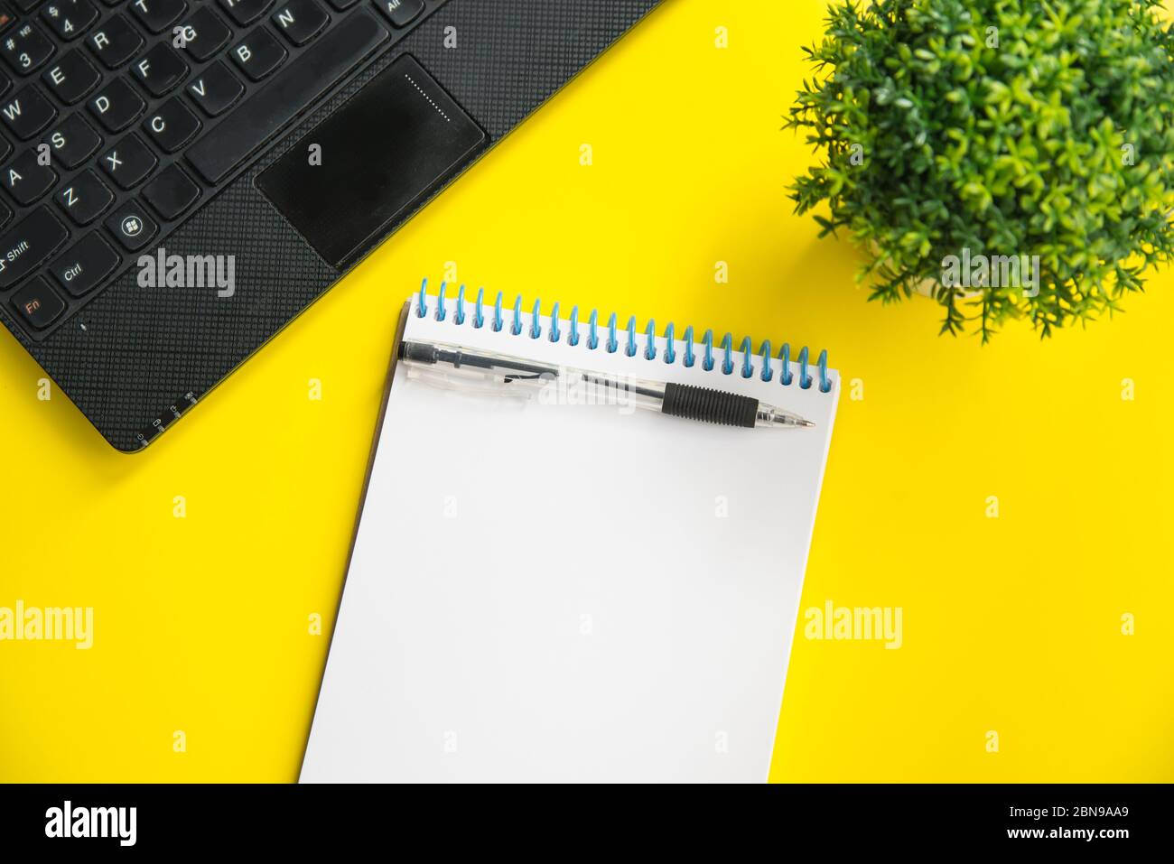 Flat lay mockup of laptop, green plant, pen and notepad on yellow ...