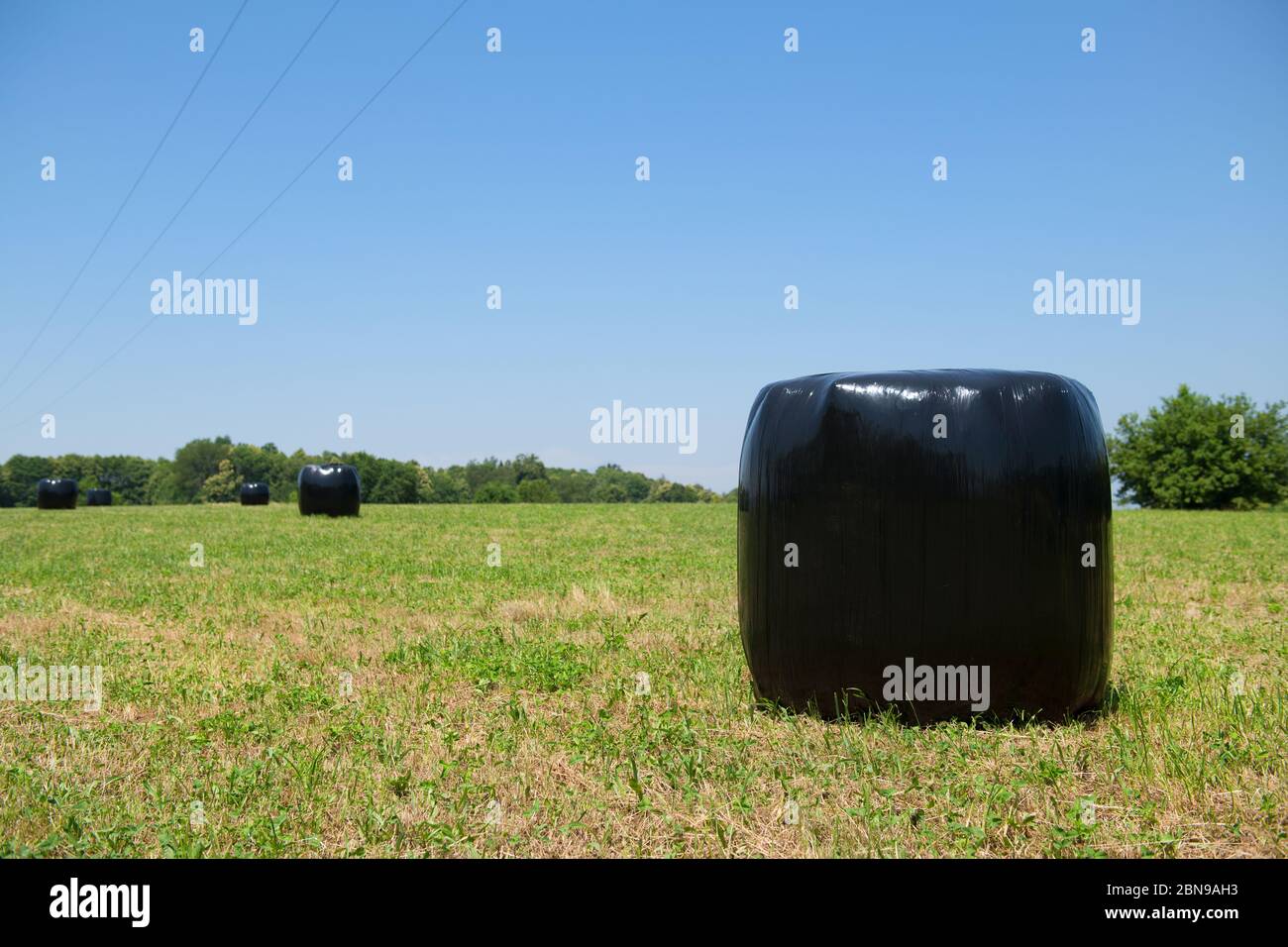 Hay bale wrapped in black plastic hi-res stock photography and images ...