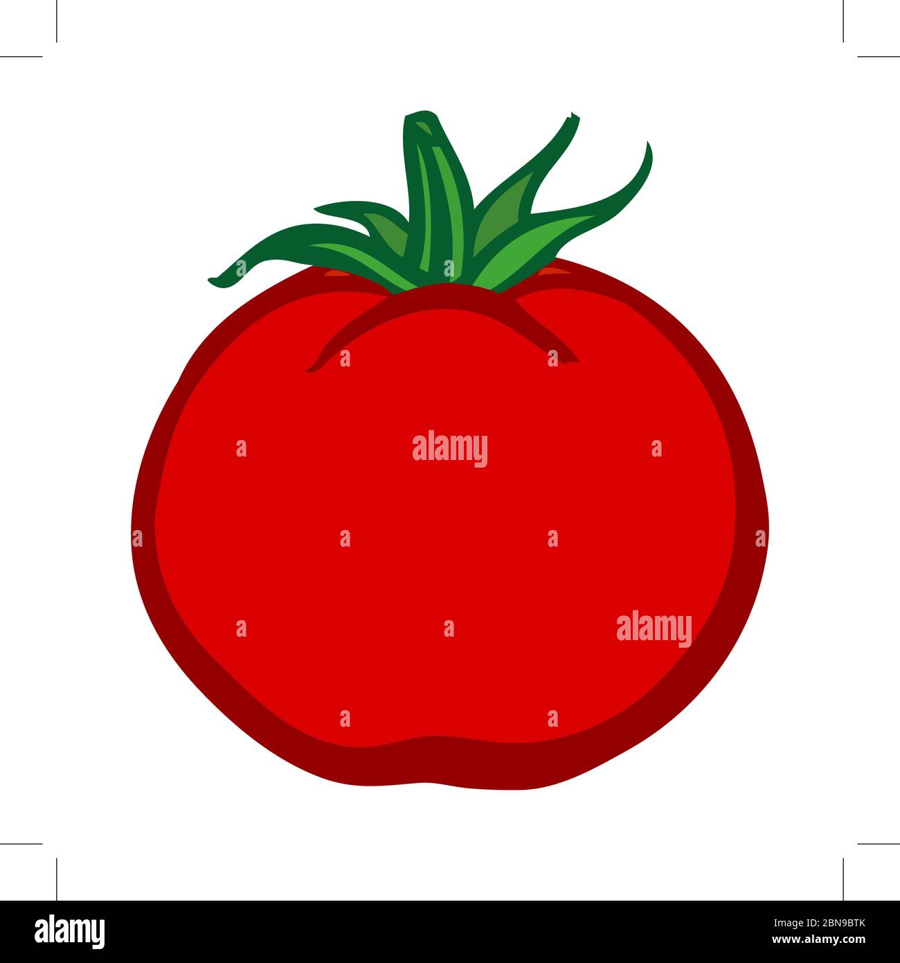 Tomato. Isolated object. White background. Flat vector image Stock ...