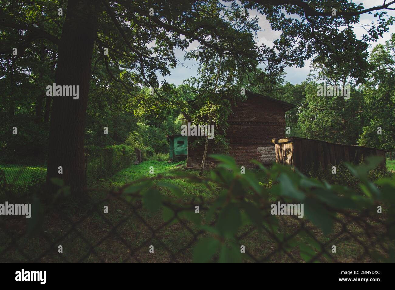 abandoned cabin in the woods Stock Photo - Alamy